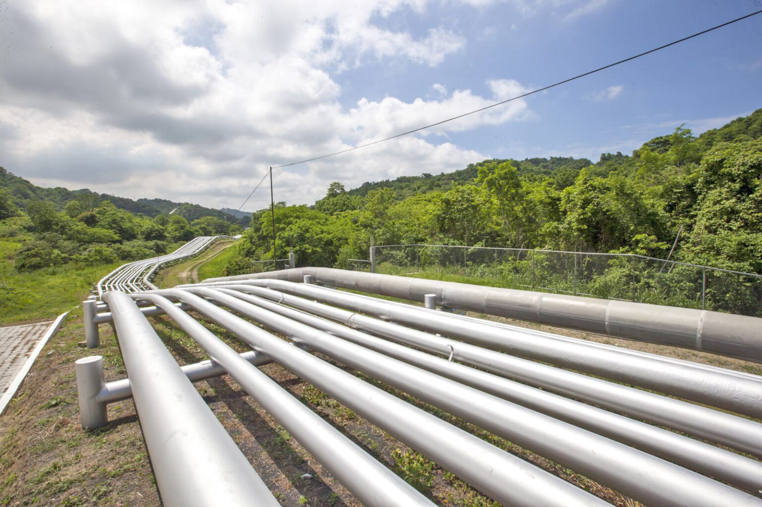 Harbour Group's ACS Group buys Mexico City-based Pagani - Energy ...