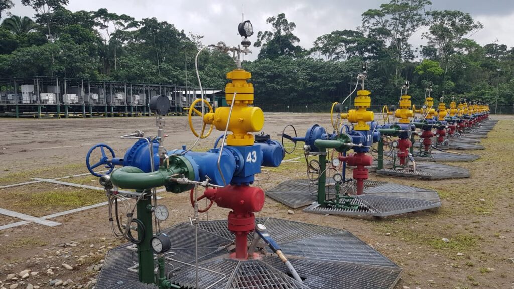 'Triple Pandemic' Devastating Ecuador’s Amazon Communities - Energy ...