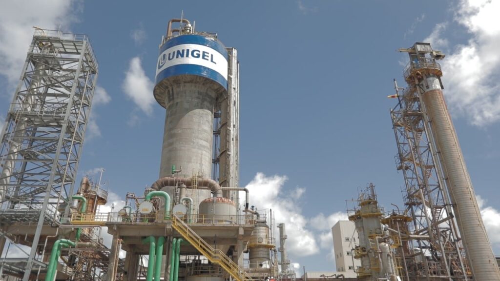 Brazil Chemical Maker Unigel Interested in Petrobras' Fertilizer ...