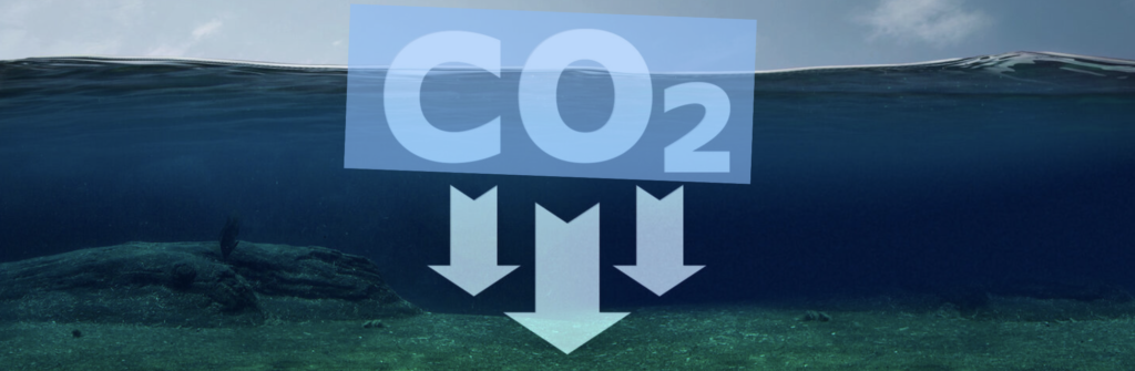 Northern Lights Facilities Finished, Ready to Store CO2 - Energy ...