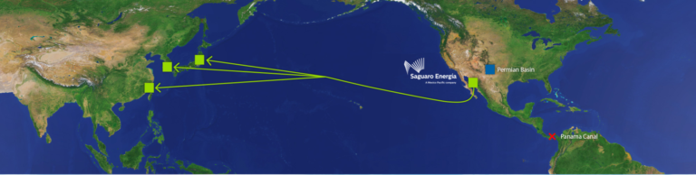 Quantum Capital's 30 MTPA Mexico Pacific project falls apart as ...