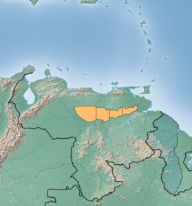 Venezuela's 'Black Gold': 4 original upgraders Sincor, Petrozuata ...