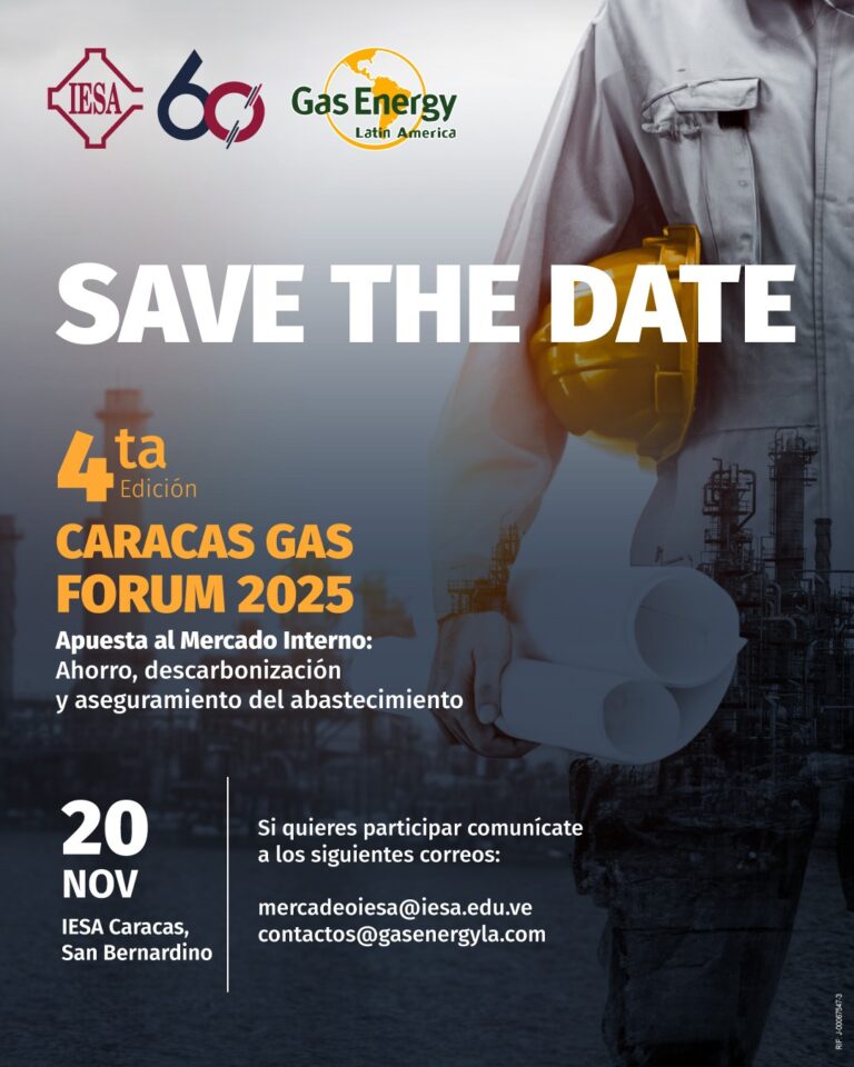 VMOS secures historic $2bn financing to develop Vaca Muerta South Pipeline - Energy Analytics ...